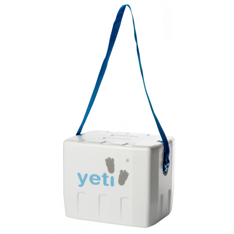 Yeti White Large with in gift Yeti White Small Portable refrigerator ...