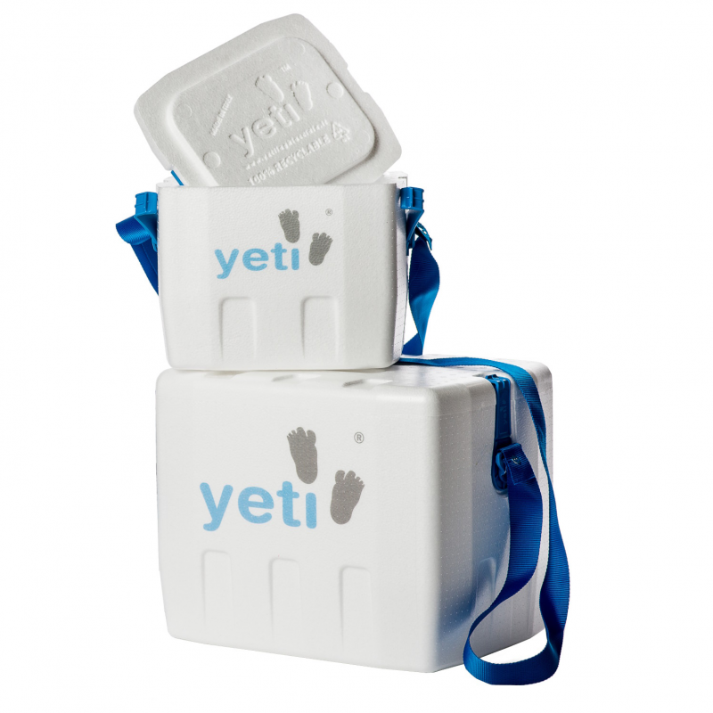 Yeti White Large with in gift Yeti White Small Portable refrigerator ...